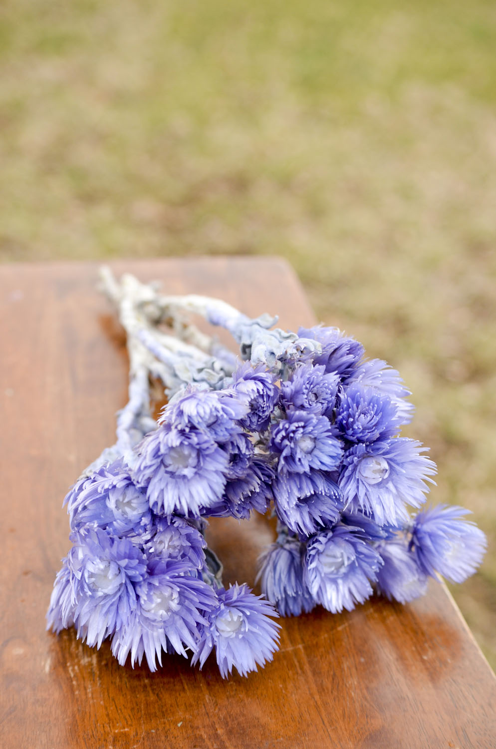 Preserved Light-Purple Everlasting Flowers | The Blaithin Blair Shop